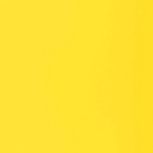 Liquitex BASICS Acrylic Paint, 118ml (4-oz) Tube, Fluorescent Yellow