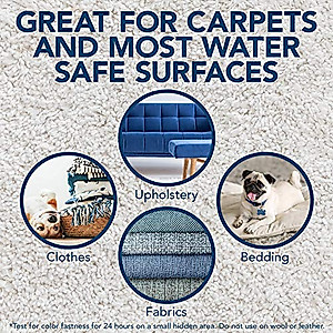 Simple Solution Oxy Charged Pet Stain and Odor Remover | Eliminates Pet Stains and Odors with 3X Cleaning Power | 1 Gallon