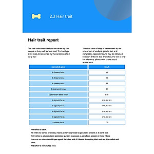AffinityDNA PetGen - Dog Breed, Health, Behaviour & Trait Identification Test Kit | at-Home Sample Collection Cheek Swab Kit | Full Genetic Test for Dogs| Results in 4 Weeks | No Extra Fees
