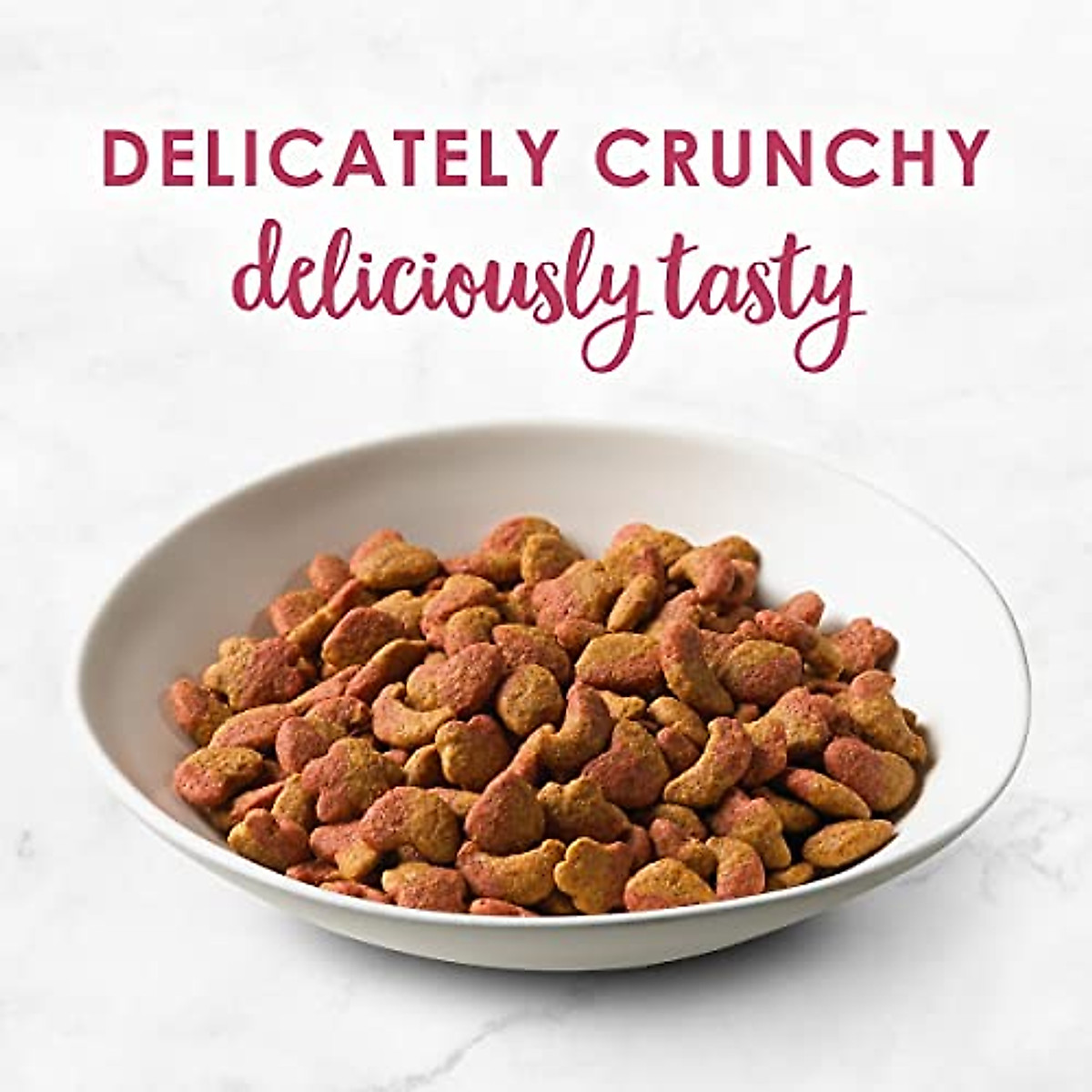 Fancy Feast Gourmet Dry Cat Food - Filet Mignon Flavor with Real Seafood & Shrimp - 3 Pack (3 Pounds Total)