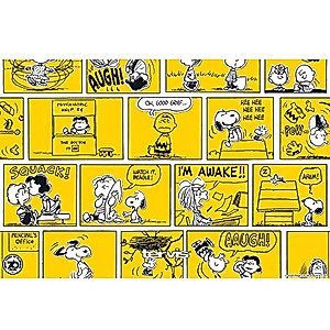 Tervis Peanuts-70th Comic Strip Triple Walled Insulated Tumbler, 1 Count (Pack of 1), Stainless Steel