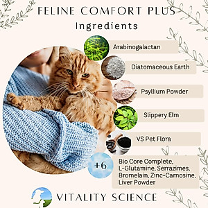 Vitality Science - Feline Comfort Plus, Extra Drying Digestive Aid, GI Support Helps with Vomiting and Diarrhea, 100% Additive Free, 120g (Seafood, Small)