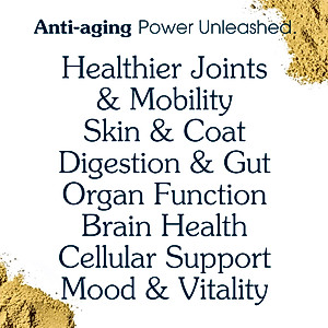 All-in-One Dog Supplement for Advanced Wellness & Longevity, 63 Premium Ingredients for Aging Support, Hip & Joint, Cognition & Mood, Gut and Organs, Vet-Formulated, Senior Formula 8+ Yrs, 38.3 oz