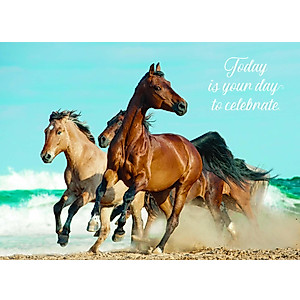 CPG Card-Boxed-Shared Blessings-Birthday Wild Horses (Box of 12)