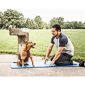 Pet Life ® Active 'Hybreed' 4-Way Stretch Two-Toned Performance Dog T-Shirt