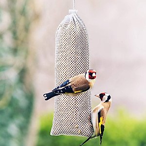 Weewooday Finch Sock Feeder Thistle Socks Bird Feeder Instant Seed Sack Feeder 4.7 x 11 Inch(White, 6 Pieces)