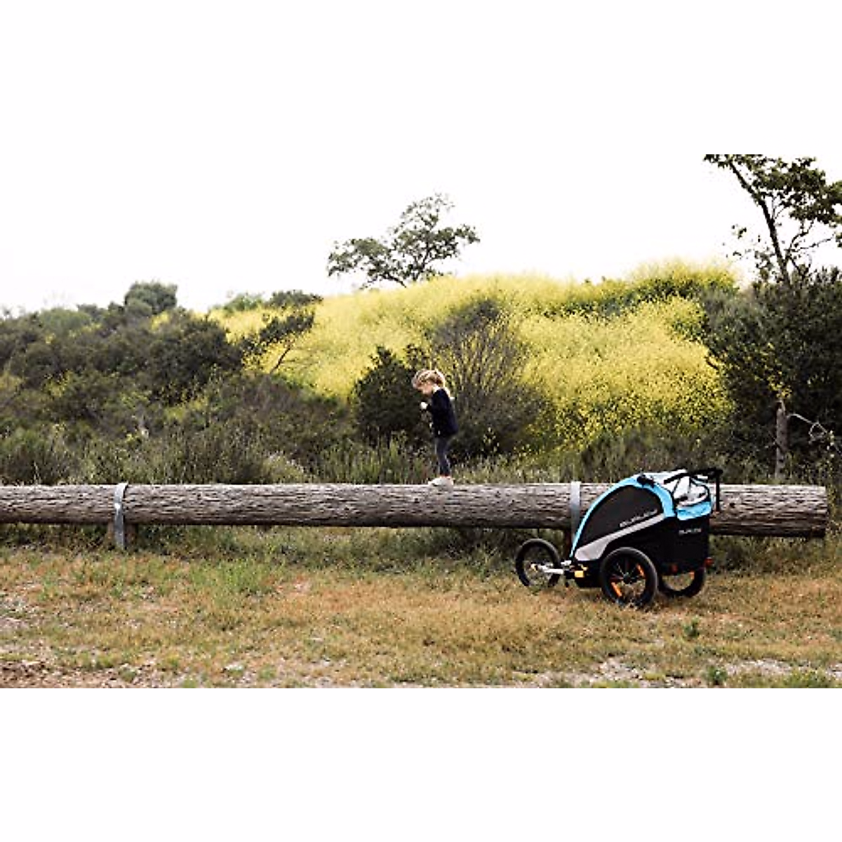 Burley D'Lite X, 2 Seat Kids Bike Trailer & Stroller