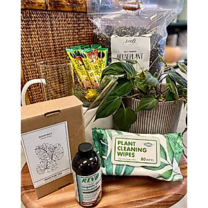 Plant Cleaning Wipes by Southside Plants - Gentle, Plant-Based Wipes for Shiny Leaves and Better Photosynthesis - Unscented, Extra Thick Waffle Weave Leaf Wipes for Indoor & Outdoor Plants - 80 Ct