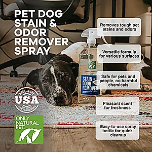 Only Natural Pet Enzyme Powered Stain & Odor Eliminator - Professional Pet Urine Pee Cleaner Deodorizer For Dogs - Hardwood Floors Carpets Upholstery - Fresh Mandarin Orange & Green Tea Scent - 32Floz