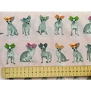 Chihuahua Dog 100% Cotton Poplin Fabric Print - Animal Dogs Material - 59'' Wide - Pink (Sold by The Yard)