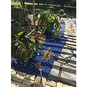 Dragon Glass 1/4" Reflective Fire Glass, 10 lb, Cobalt Blue