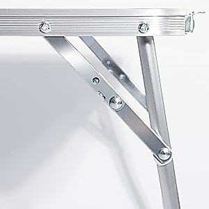 Sivya Foldable Laptop Table Lapdesk, Breakfast Bed Serving Tray, Portable Mini Picnic Desk(Silver)