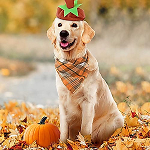 Malier 2 Pack Fall Dog Bandana Halloween Thanksgiving Plaid Dog Bandanas, Holiday Pet Reversible Scarf Bibs Accessories Costumes for Small Medium Large Dogs and Cats