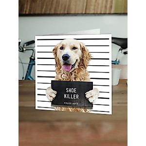 Brainbox Candy - Funny Birthday Cards - 'Shoe Killer' - Cute Dog Cards - Golden Retriever Dog Owners - Pet Dog Lovers - Cheeky Birthday Cards for Him Her Men Women Partner Friend