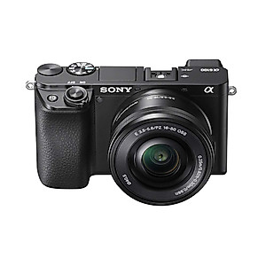 Sony a6100 Mirrorless Camera 4K APS-C ILCE-6100LB with 16-50mm F3.5-5.6 OSS Lens Kit and Deco Gear Case + Extra Battery + Flash + Wide Angle & Telephoto Lens + Filter Kit + 64GB Accessories Bundle