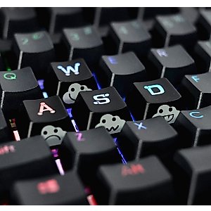 Replacement WASD Arrow Keycaps UV Coating Backlit Double Shot Keycap OEM Profile for Cherry MX Switch Gaming Mechanical Keyboard (8 Keys WASD+Arrow)