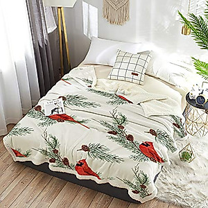 SUN-Shine Sherpa Fleece Throw Blanket Cardinal Birds with Pine Cones Leaves Home Decor Reversible Fuzzy Warm and Cozy Throws, Christmas Super Soft Plush Bed TV Blankets for Couch/Sofa/Travel