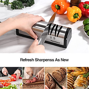 Narcissus Knife Sharpener, Professional 2 Stage Electric Knife Sharpener for Quick Sharpening & Polishing, with Scissors Sharpener and Metal Dust Collection Box, Stainless Steel, Silver
