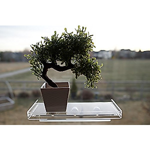 LaBrinx Designs Medium Suction Cup Shelf - Live Plants, Windows, and Bathrooms