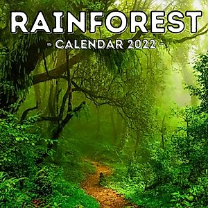 Rainforest Calendar 2022: 16-Month Calendar, Cute Gift Idea For Forest Lovers Women & Men