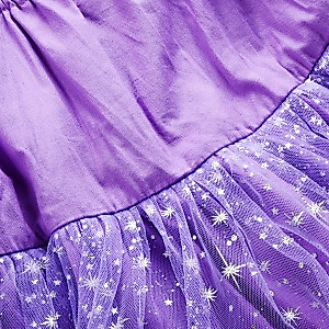 JerrisApparel Girl Princess Costume Dress for Birthday Party (3T, Purple with Accessories)