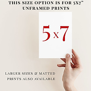 Lisa Russo Fine Art - Nature Wall Art - Botanical Flower Wall Decor Pictures - Shabby Chic Style - Set of 4 - Not Framed - Ivory, Tan, Beige (4 SMALL 5x7 Prints Only)