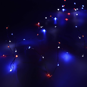 MIYA LIFE Independence String Lights 10FT & 40LEDs & Patriotic Decorations | Battery Powered & Timer Remote (Rice Lights)