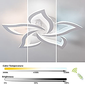 CHYING Modern LED Ceiling Light 23.6'' Dimmable Flush Mount Ceiling Light with Remote Control 80W LED Chandelier Acrylic Ceiling Lamp Fixture for Bedroom Kitchen Living Room Dining Room, White