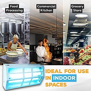 Gardner GT200 Insect Light