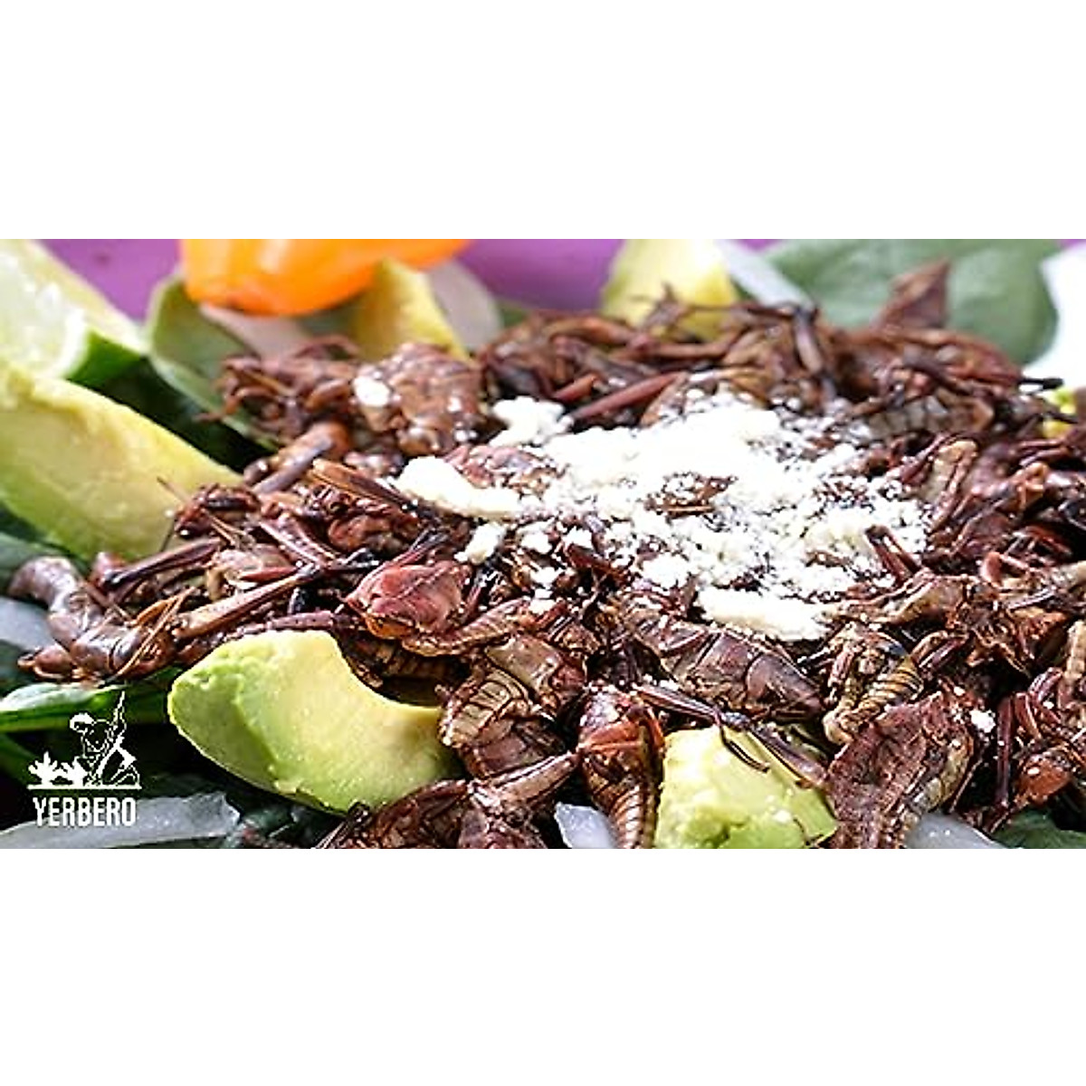 Yerbero - Fresh Chapulines From Oaxaca 1.03 oz (30gr) Adobado Spicy Flavor | All Natural Toasted Grasshoppers With Chili, Lime, Sea Salt and Garlic | Always Fresh (Not Dehydrated) Delicious, Exotic Mexican Snack. Imported From Mexico.