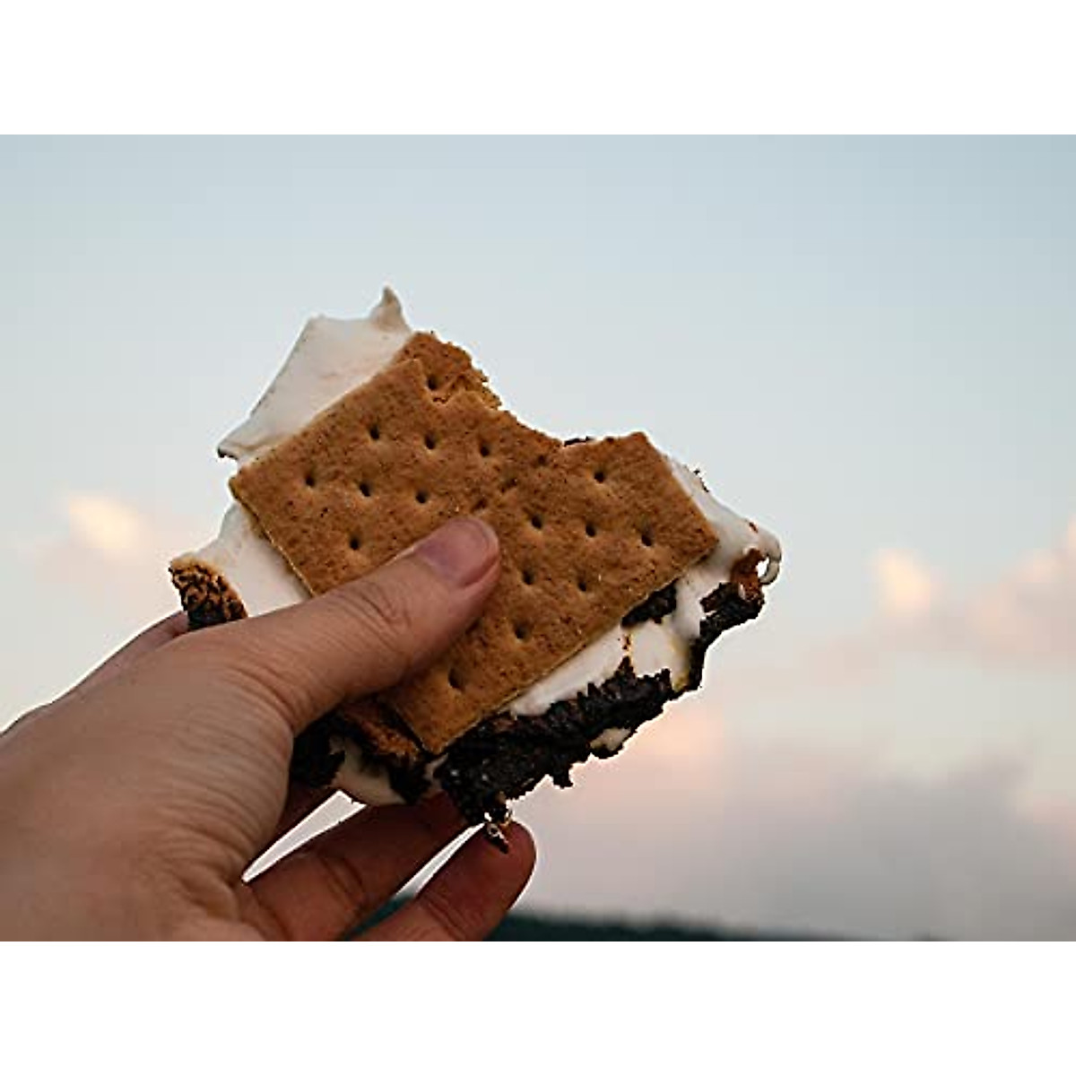 Fire Pit w/BBQ Sticks Skewers, 22in Fire Pit Outdoor Patio Steel Fire Pit Bowl Wood Burning Firepit BBQ Grill for Camping Beach Bonfire Picnic Backyard Garden