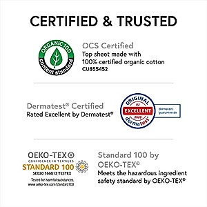 Sofy Organic Cotton Sanitary Pads for Women - Certified Overnight Napkins, Super Absorbent, Chemical Free, Unscented, Postpartum, Ultra Thin, Leak Protection (Overnight), 10 Count (Pack of 1)