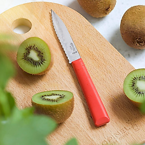 Opinel Les Essentials+ No. 313 Serrated Paring Knife, Corrosion Resistant + Dishwasher Safe, Made in France, Red