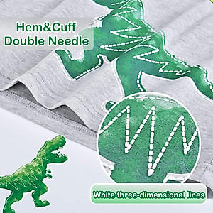 Dinosaur Big Brother Announcement T Shirt Sibling Outfits for Toddler Boys Cotton Promoted to Big Brother Shirt Print Colorful Dino Short Sleeve Top Tee Gift(Gray, 18-24 Months)