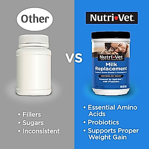 Nutri-Vet Milk Replacement For Kittens - Healthy Gut Support with Probiotics - Essential Nutrients - Veterinarian Formulated - 12 oz