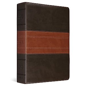 ESV Study Bible, Large Print (TruTone, Forest/Tan, Trail Design)