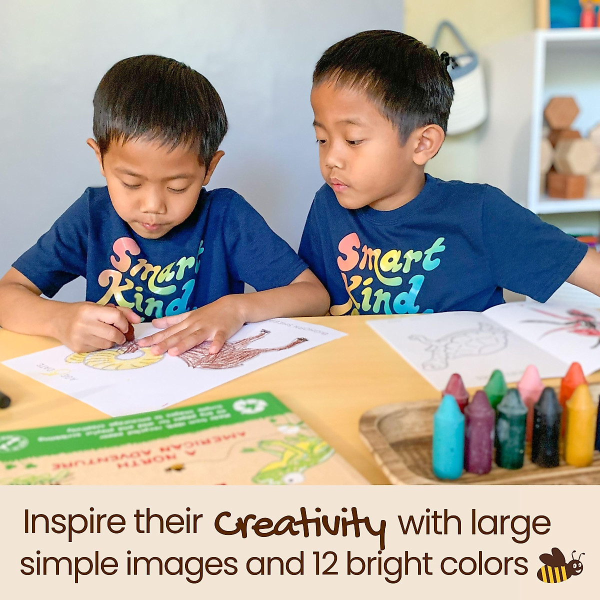 Honeysticks 100% Pure Beeswax Crayons Natural, Non Toxic, Safe for Toddlers, Kids and Children, Handmade in New Zealand, For 1 Year Plus (12 Pack with Book) Best Gift