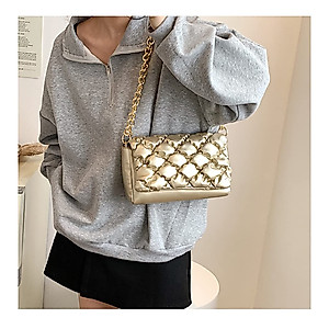 abigail paige Quilted Purse for Women Classic Shoulder Bag Designer Crossbody Bag with Chain Strap (Gold)