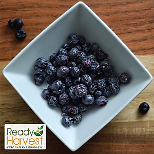 Ready Harvest Freeze-dried Blueberries | Blueberries Freeze-dried Fruit Snacks | Healthy Snacks Trail Mix | Camping food, School Snacks or Emergency Food Supply 30 Years | #10 Can