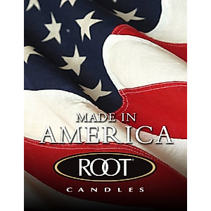 Root Boutique 20-Hour Votive Candles, Mulled Cider, 4-Pack