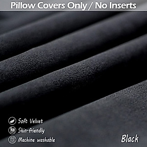 CARRIE HOME Black Velvet Throw Pillow Covers 18x18 Set of 2 Super Soft Black Pillows Decorative Throw Pillows for Couch Sofa and Living Room