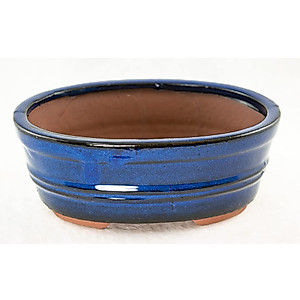 bigsnowball 8" Oval Dark Blue Bonsai/Cactus & Succulent Pot + Tray + Rock + Mesh Combo