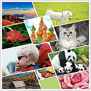 SanSeCai Remanufactured for Canon Ink Cartridges 145XL and 146XL PG-145XL CL-146XL Replacement Ink for MG2510 TS3110 IP2810 MG2410 MG2910 MG3010 Printers Muti Pack 1 Black 1 Color