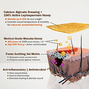 EVERLIT Honey Calcium Alginate Dressing 2” x 2” Pack of 10 | Sterile, Highly Absorbent Dressing With Pure Manuka Honey | Advanced Wound Care For Cuts, Skin Tears, Burns, Pressure Sores, Diabetic Ulcer