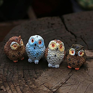 Danmu 4pcs Resin Mini Owls, Miniature Figurines, Fairy Garden Accessories, Fairy Garden Supplies, Fairy Garden Animals for Fairy Garden, Micro Landscape, Plant Pots, Bonsai Craft Decor