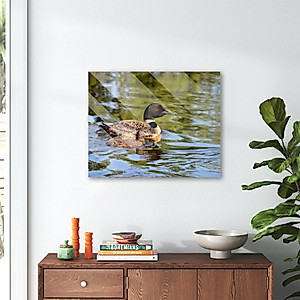 XEAJPJMGBQ Tempered Acrylic Glass Wall Art Common loon Modern Acrylic Artworks Picture Print Accent Decor for Living Room Bedroom Office Free Floating