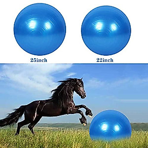 Chyesong Horse Ball Training Toy, Anti-Burst Horse Exercise Ball Toy with Inflator Pump for Horse Lamb Goat Enterainment Toy Ball (22 Inch, Blue)