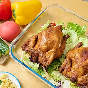 PandPot XXXXX-Large Glass Handy Container with Locking Lid 220OZ BPA Free Borosilicate Glass Family Size Party Size Extra Large Glass Locking Lid Bakeware Baking Dish with Airtight Lid with Handle