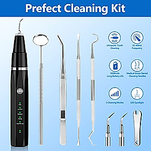 Ni-SHEN Dog Plaque Remover for Teeth，Pet Ultrasonic Tooth Cleaner Toothbrush，Teeth Cleaning Kit -Tartar Remover for Teeth Stains for Dogs and Cats (Black)