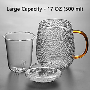 Tea Cup With Infuser and Lid, 19 OZ (560 ml), Amber Color Handle, Food Grade Borosilicate Glass Material, Resistant to Cold and Hot Shock, Hammered Texture Design, Loose Leaf Tea Cup